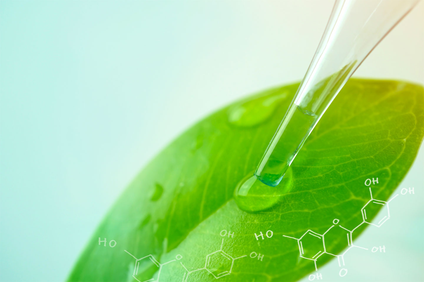 Avvale | Case Study | Endura